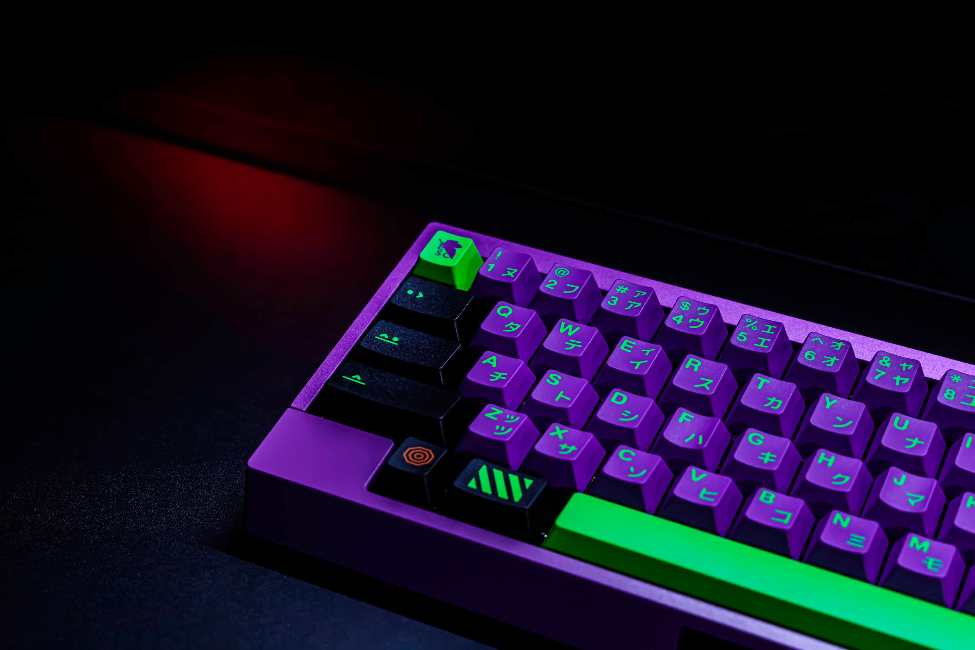 Angry Miao 怒喵科技官网