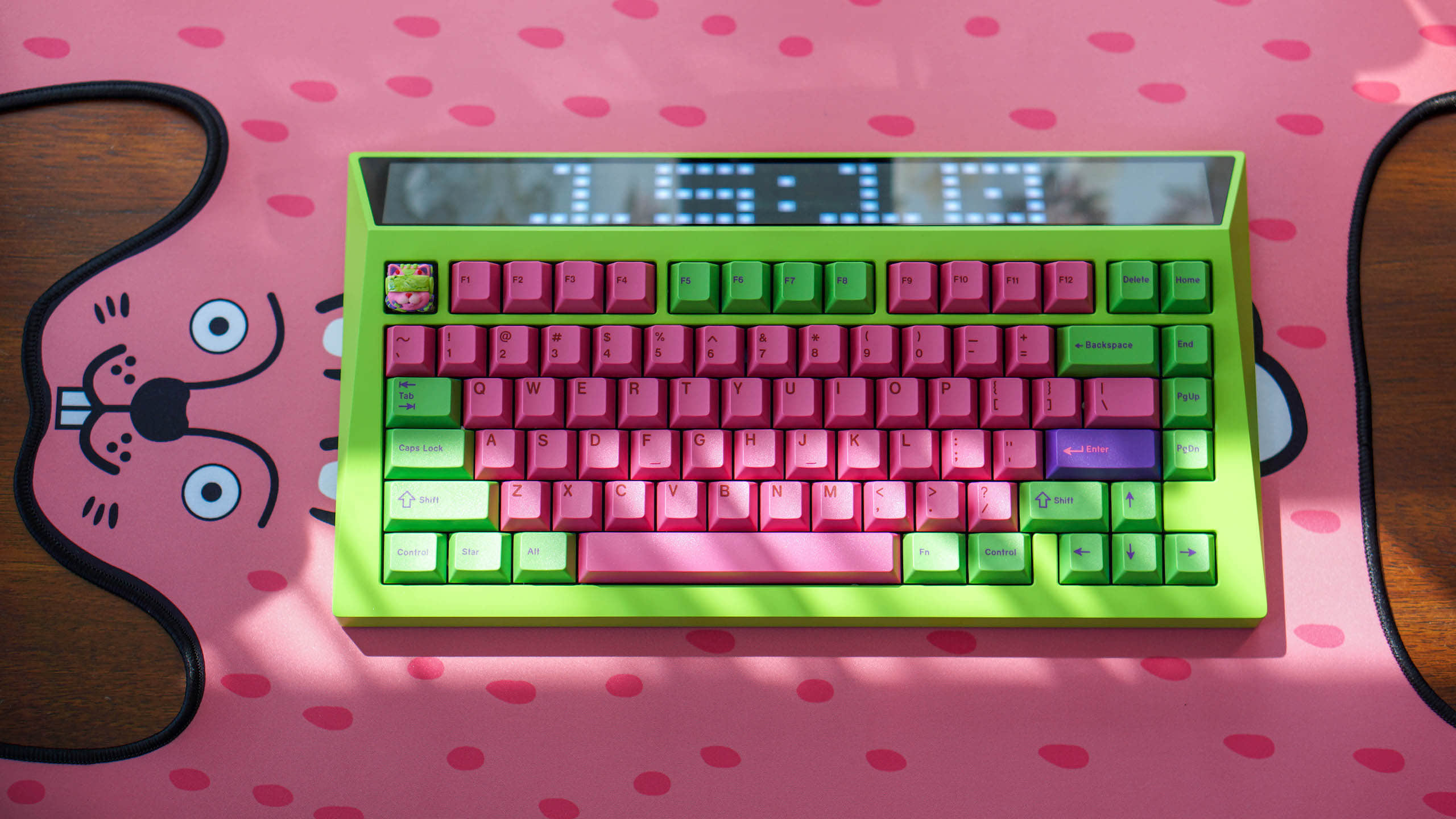 Angry Miao 怒喵科技官网